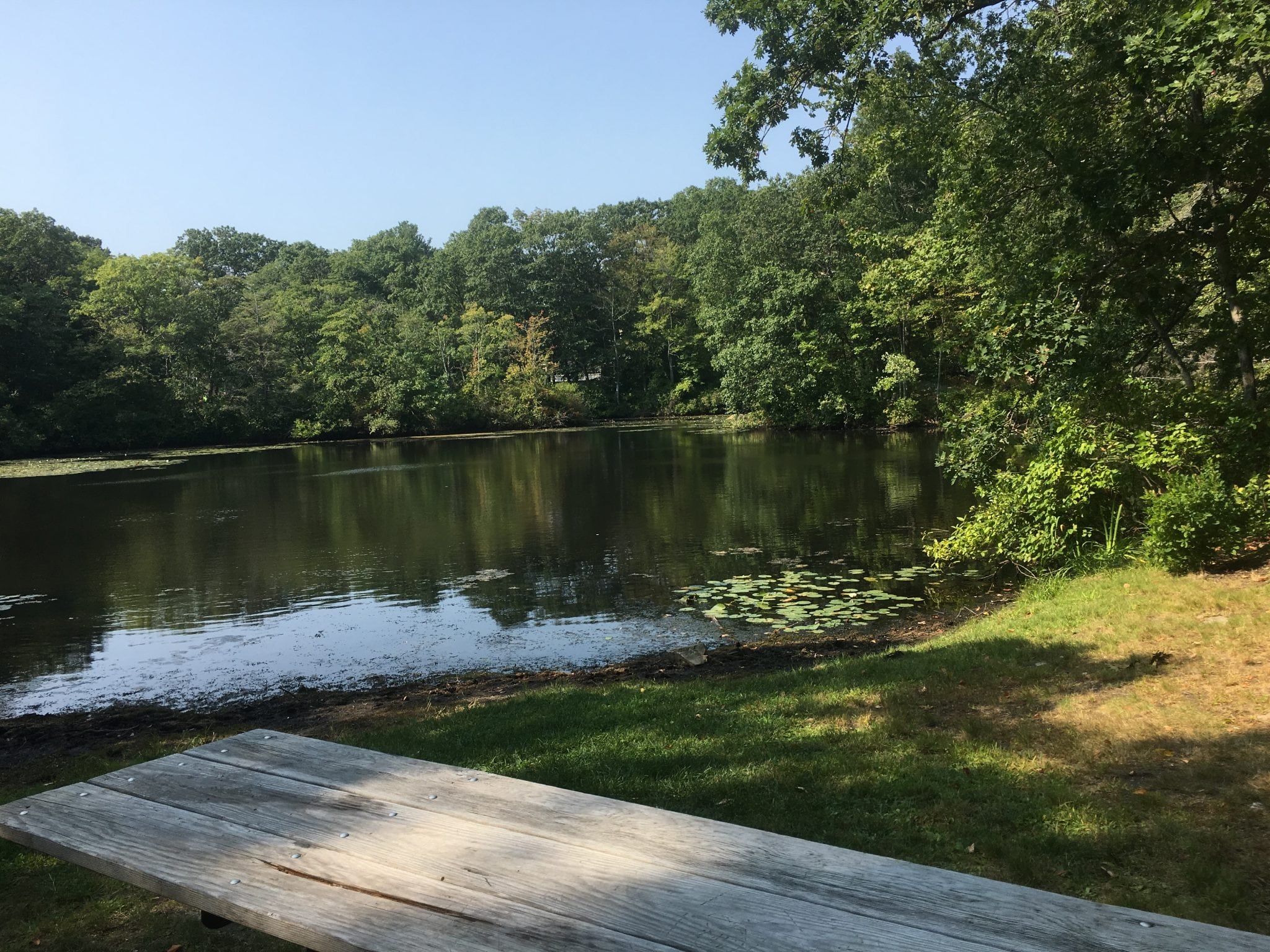 Wellesley Trails Committee shares 6 self-guided Spring walks - The ...