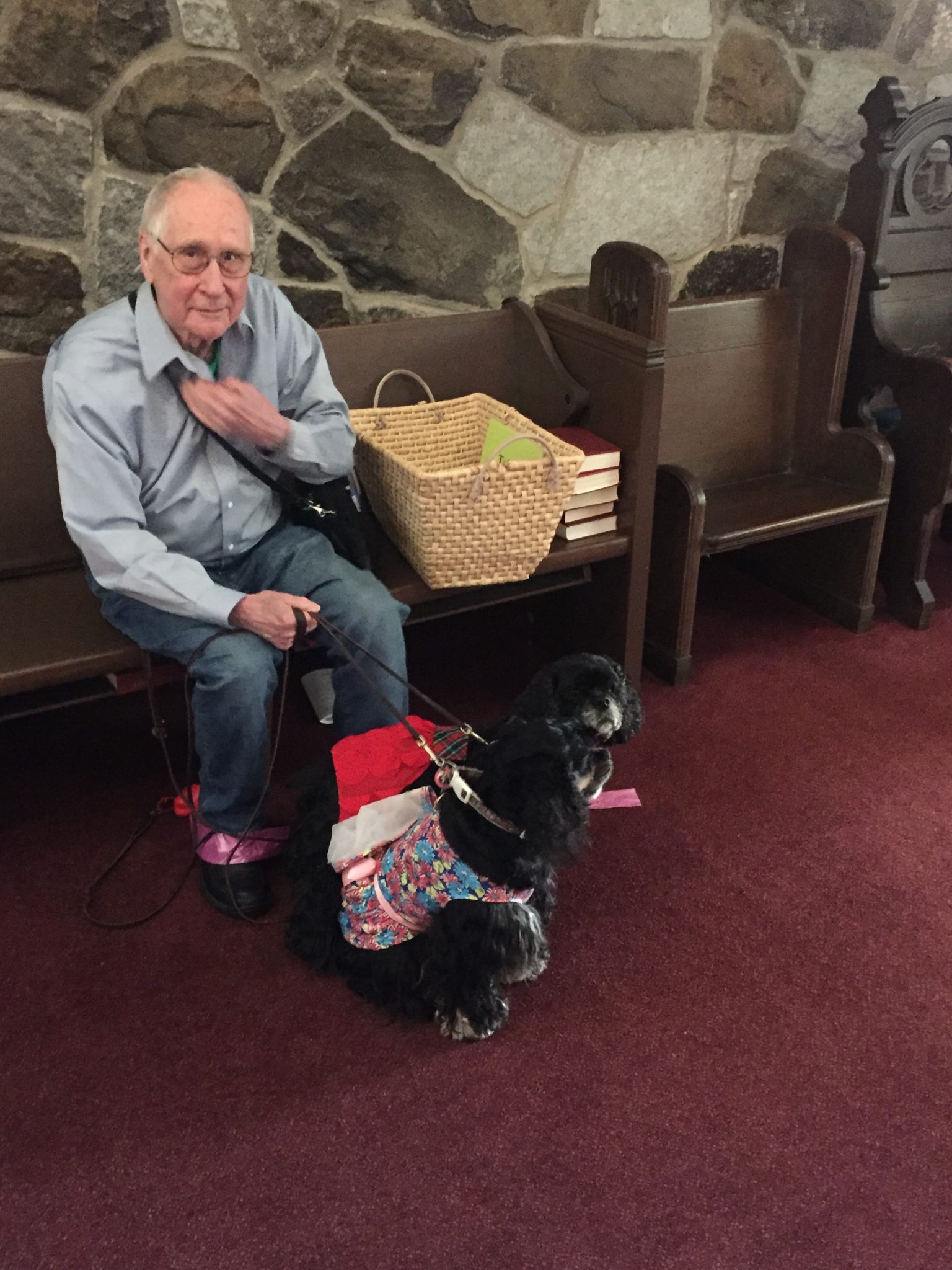 Pews & paws: Wellesley church gives dogs their day - The Swellesley Report