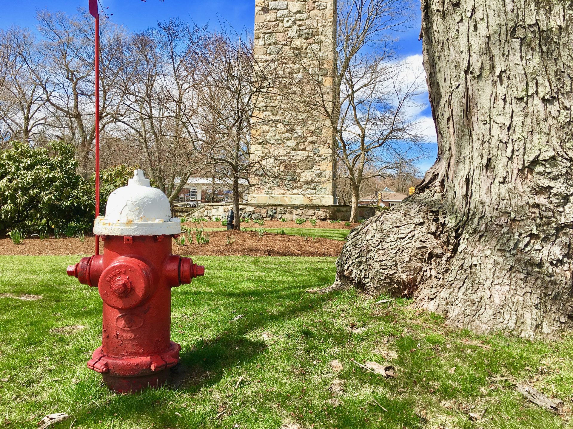 Sign up to keep your neighborhood Wellesley fire hydrant clear of snow ...