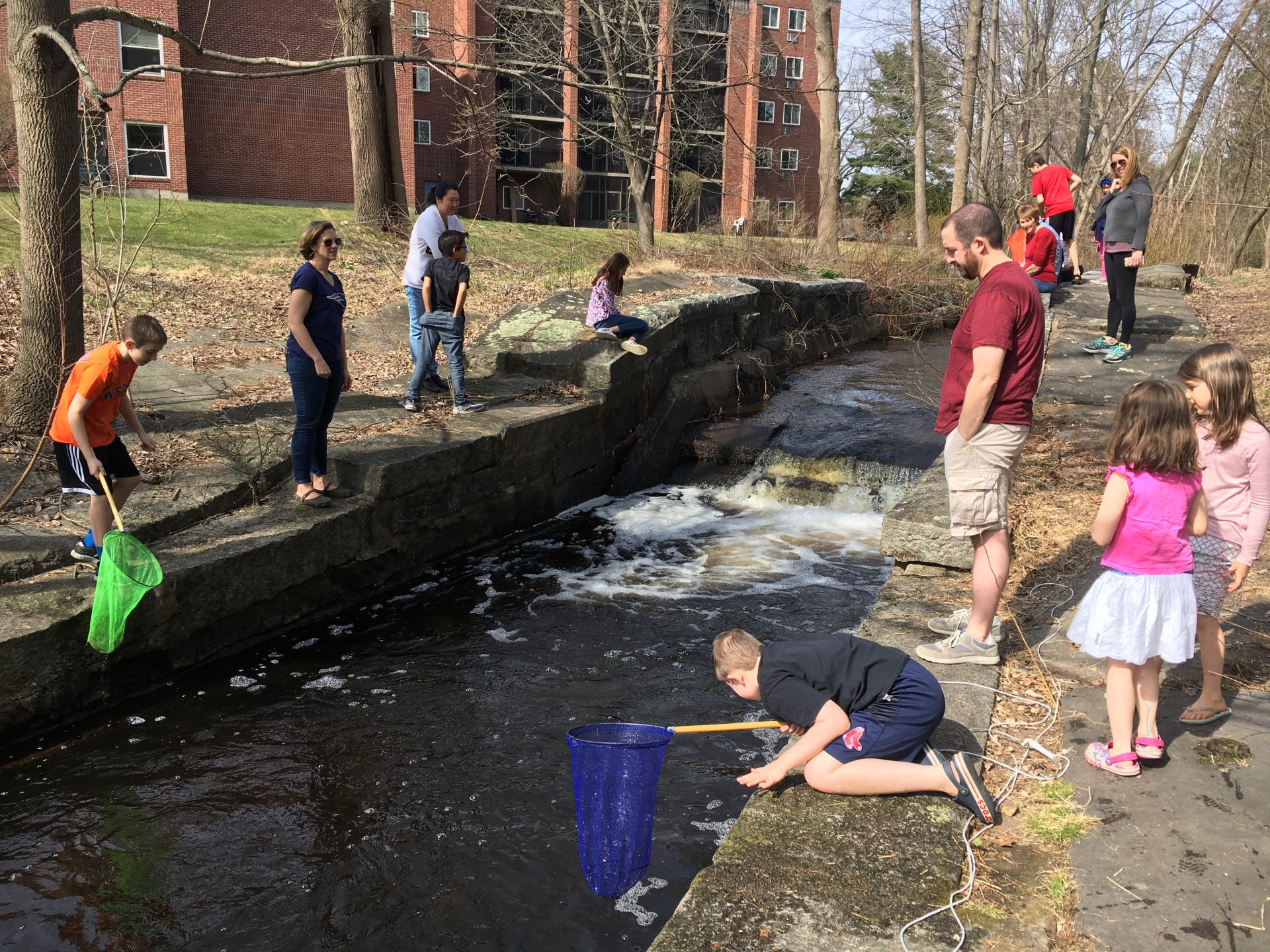 Fish are jumping in Wellesley, and sometimes getting a bit of help ...