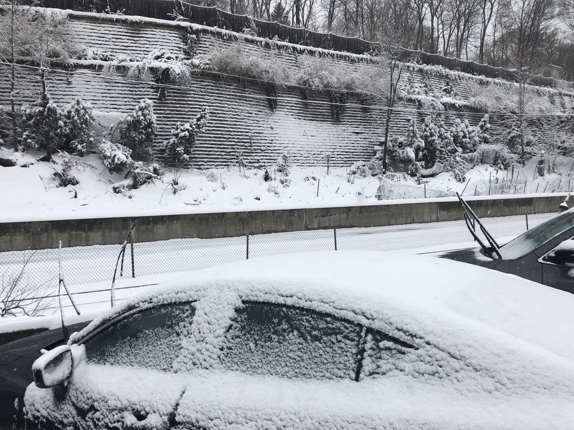 Wellesley winter scenes - The Swellesley Report