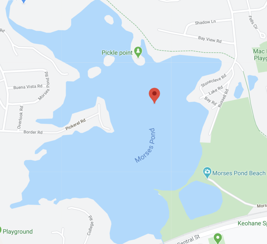 Kayaking at Wellesley's Morses Pond - The Swellesley Report