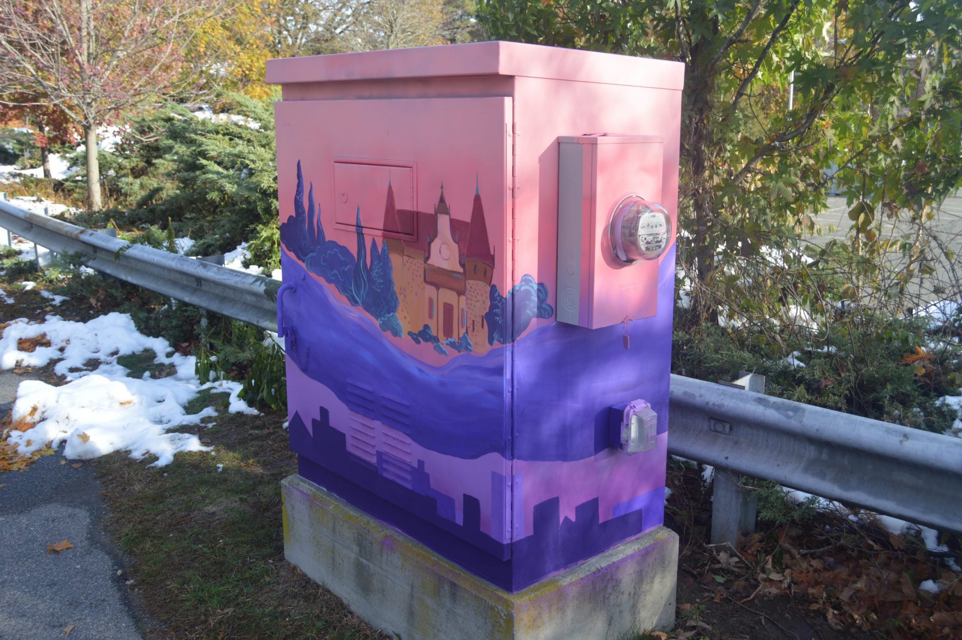 Artists transform four more Wellesley electrical boxes - The Swellesley ...