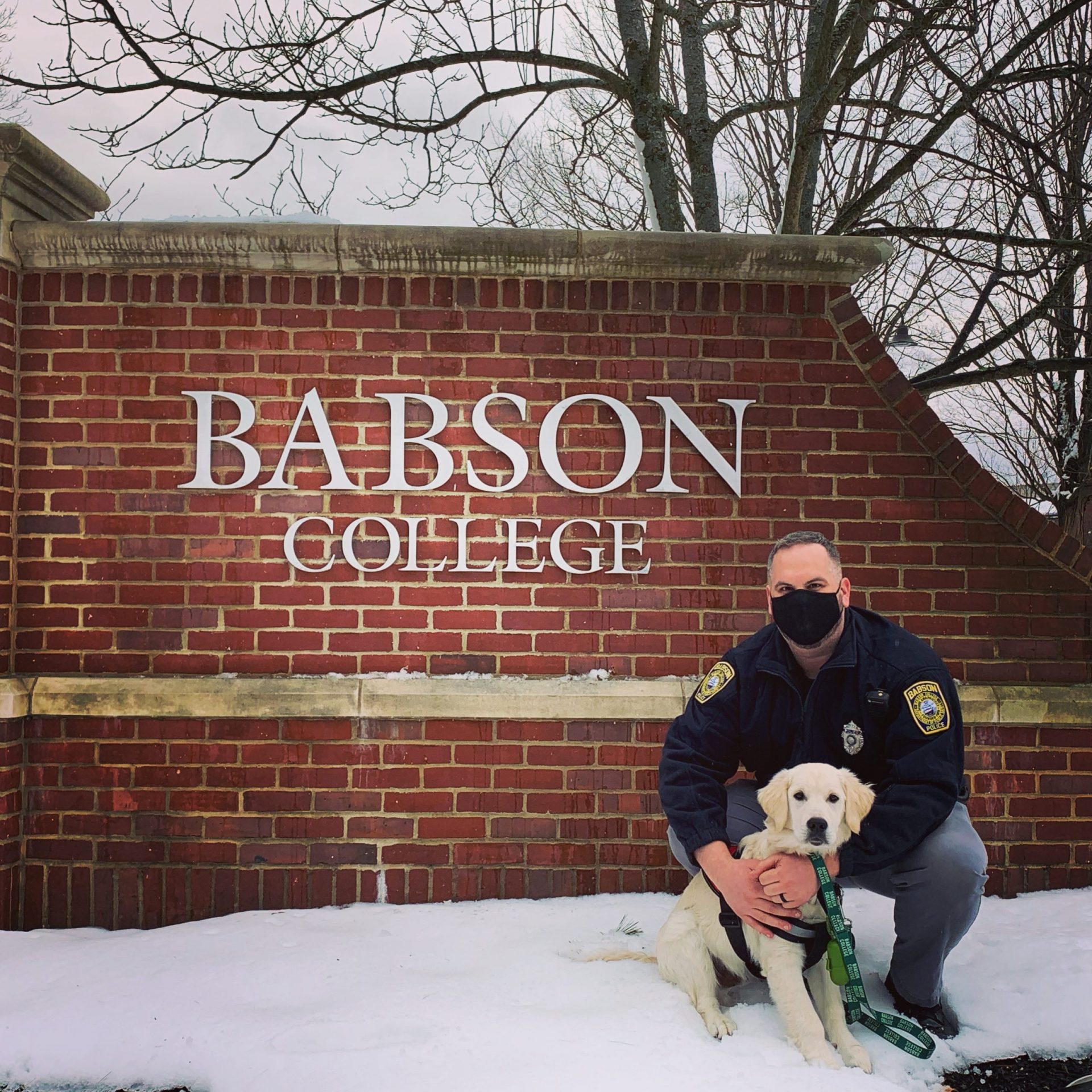 Cuteness alert: Babson College adds working puppy to the Wellesley ...