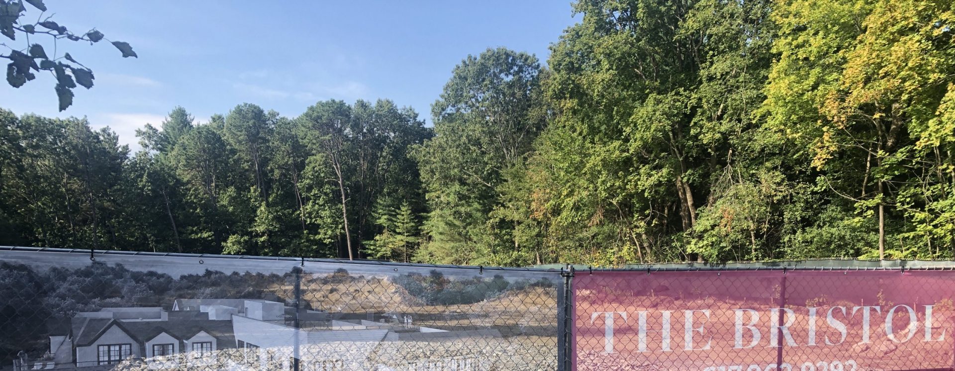 Wellesley Business Buzz; Asaro Bakery & Cafe coming to Church Square; A ...